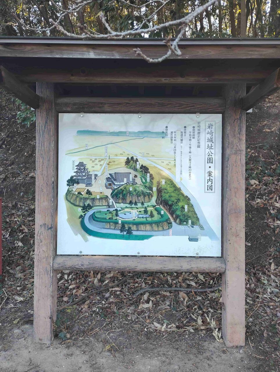 岩崎城（2026/01/10） : ゼロから始めるガーデニングとお城巡り