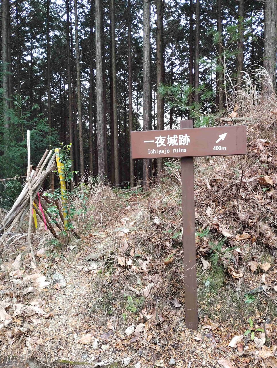 一夜城跡(恵那市)（2026/01/05） : ゼロから始めるガーデニングとお城巡り