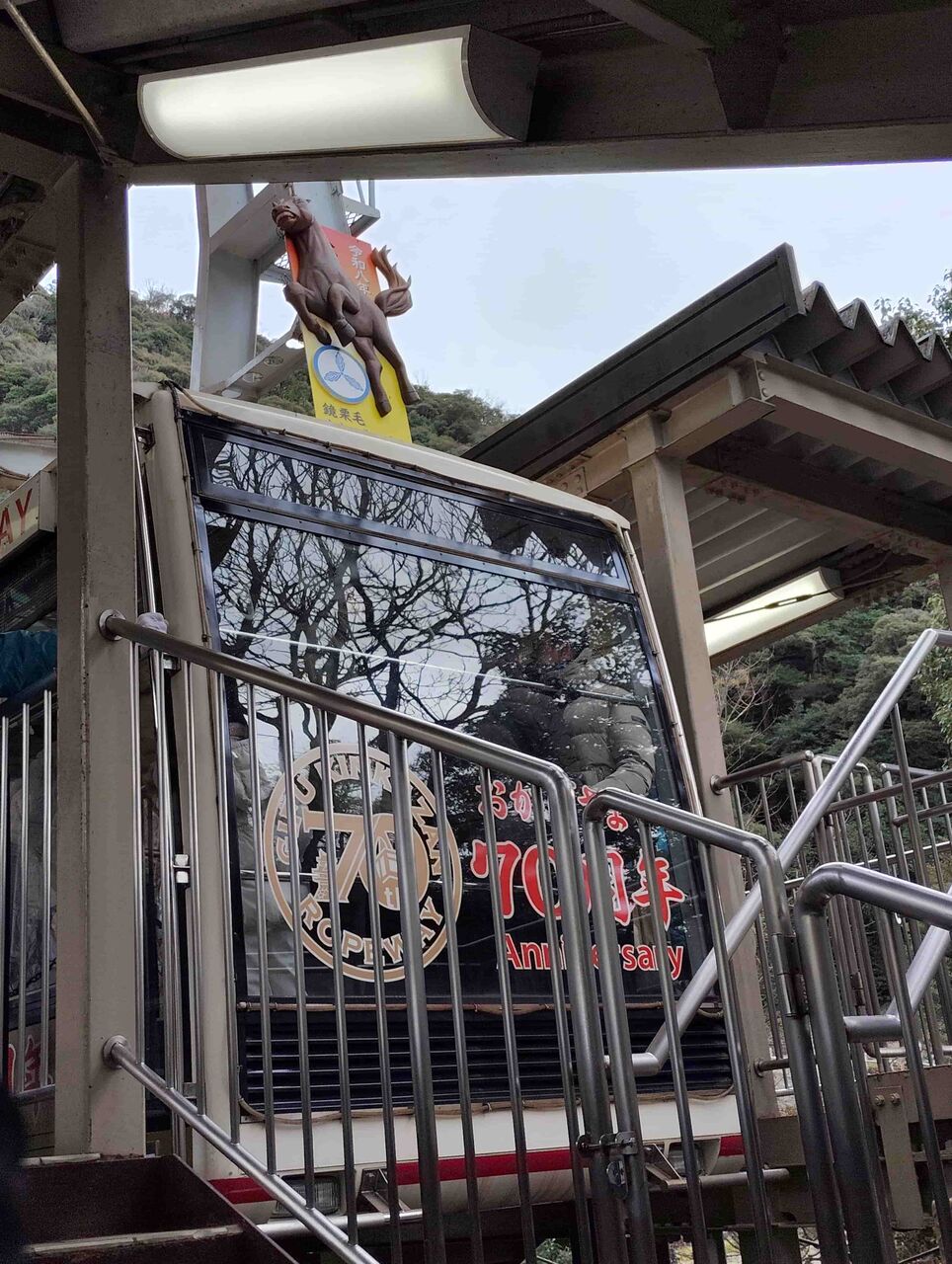 岐阜城（2026/1/2） : ゼロから始めるガーデニングとお城巡り