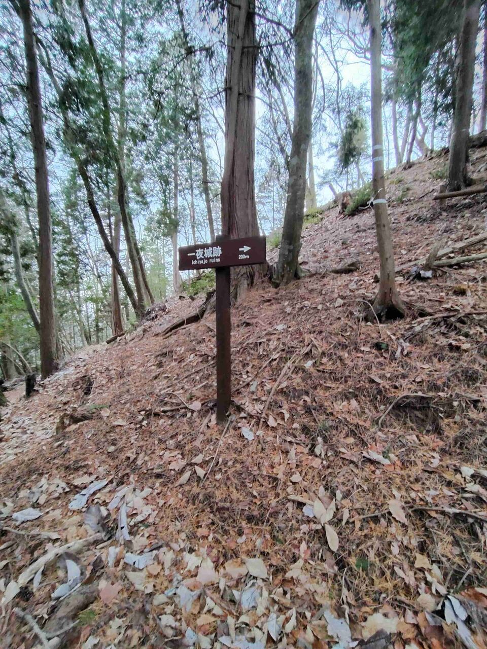 一夜城跡(恵那市)（2026/01/05） : ゼロから始めるガーデニングとお城巡り