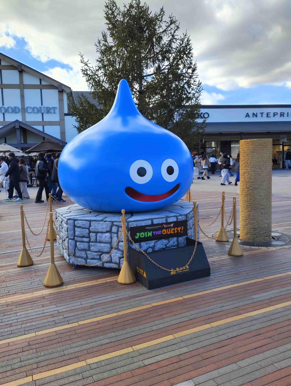 お正月気分も抜けた頃～ : ゼロから始めるガーデニングとお城巡り