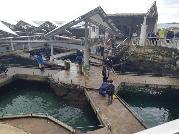 【JR西日本株主優待の裏ワザ利用】かにカニはまかぜ／あめつち日帰り旅のご報告 : あいまいだいありー