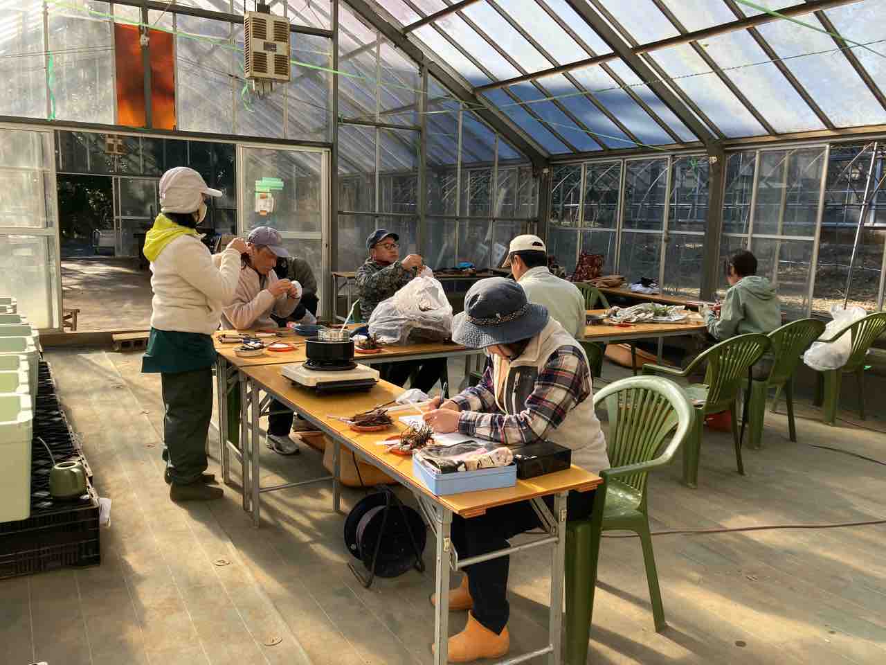 一年の初めに… : 佐倉草ぶえの丘バラ園 ボランティア日誌