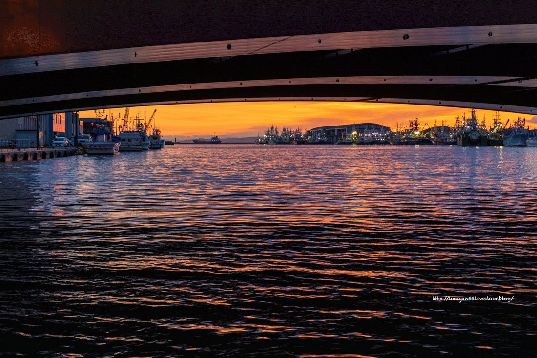 地平線が晴れた日の夕日 : きままな My Photo