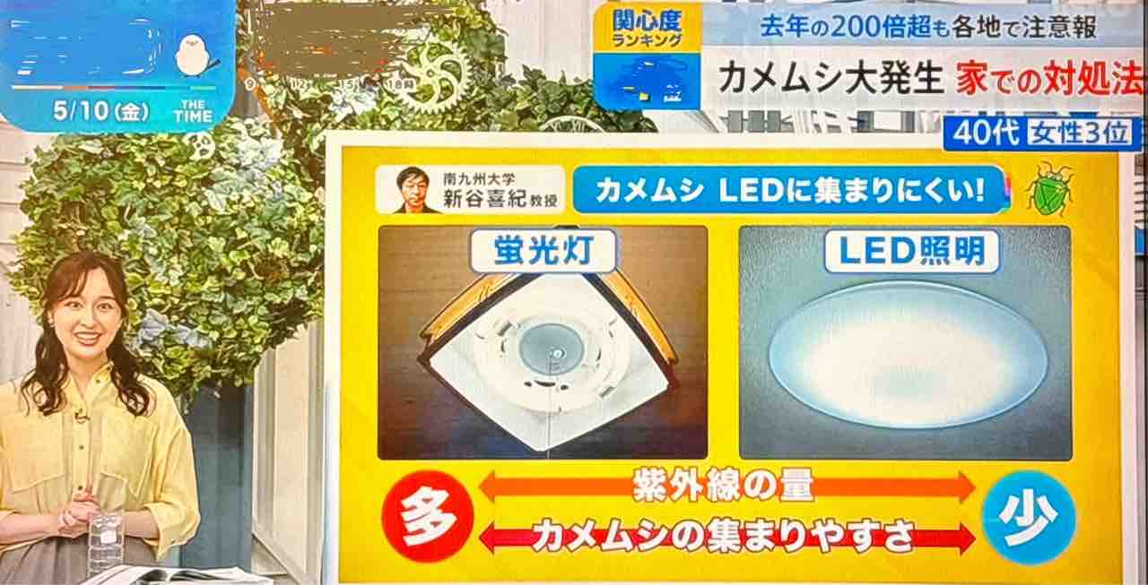 京都府内で例年より早くカメムシが大量発生 : "Welcome to the world of prime numbers! (APS ...