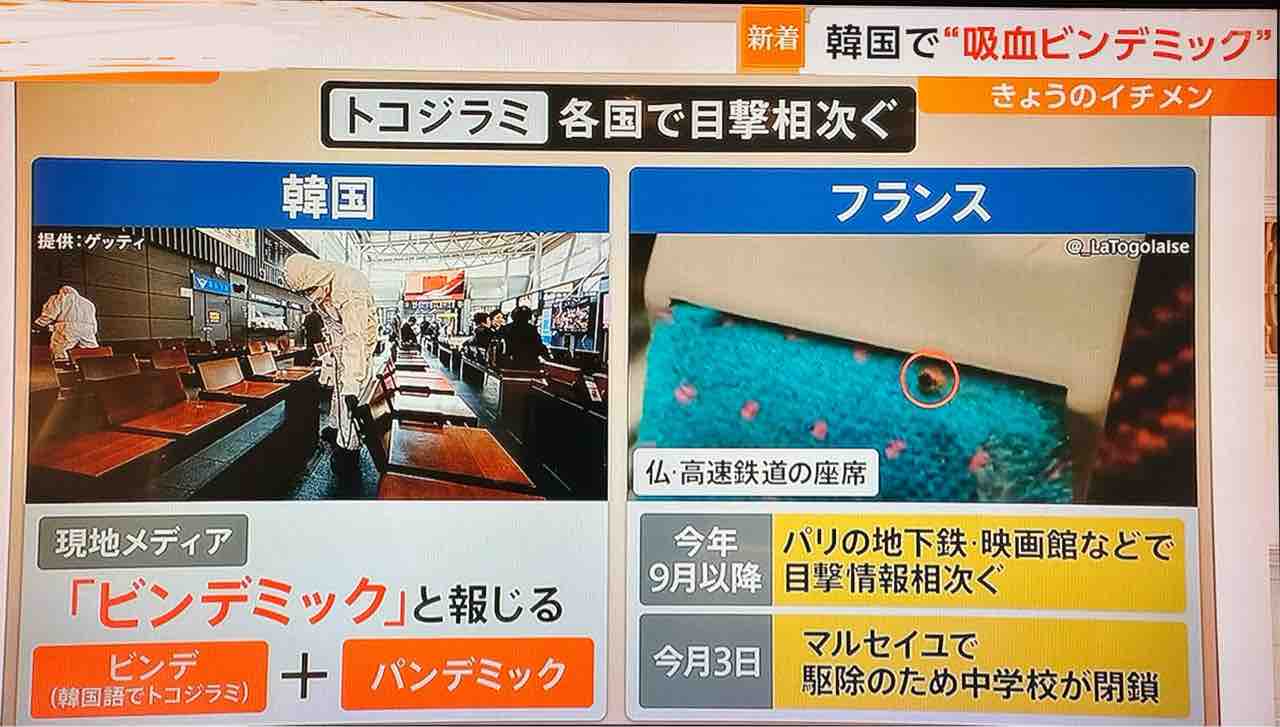 世界に目を向けグローバル GPS 京都を中心にグローカル 366 APS:「韓国で大量発生中…」トコジラミ大流行で年末の海外旅行、ネットショッピングに不安の声