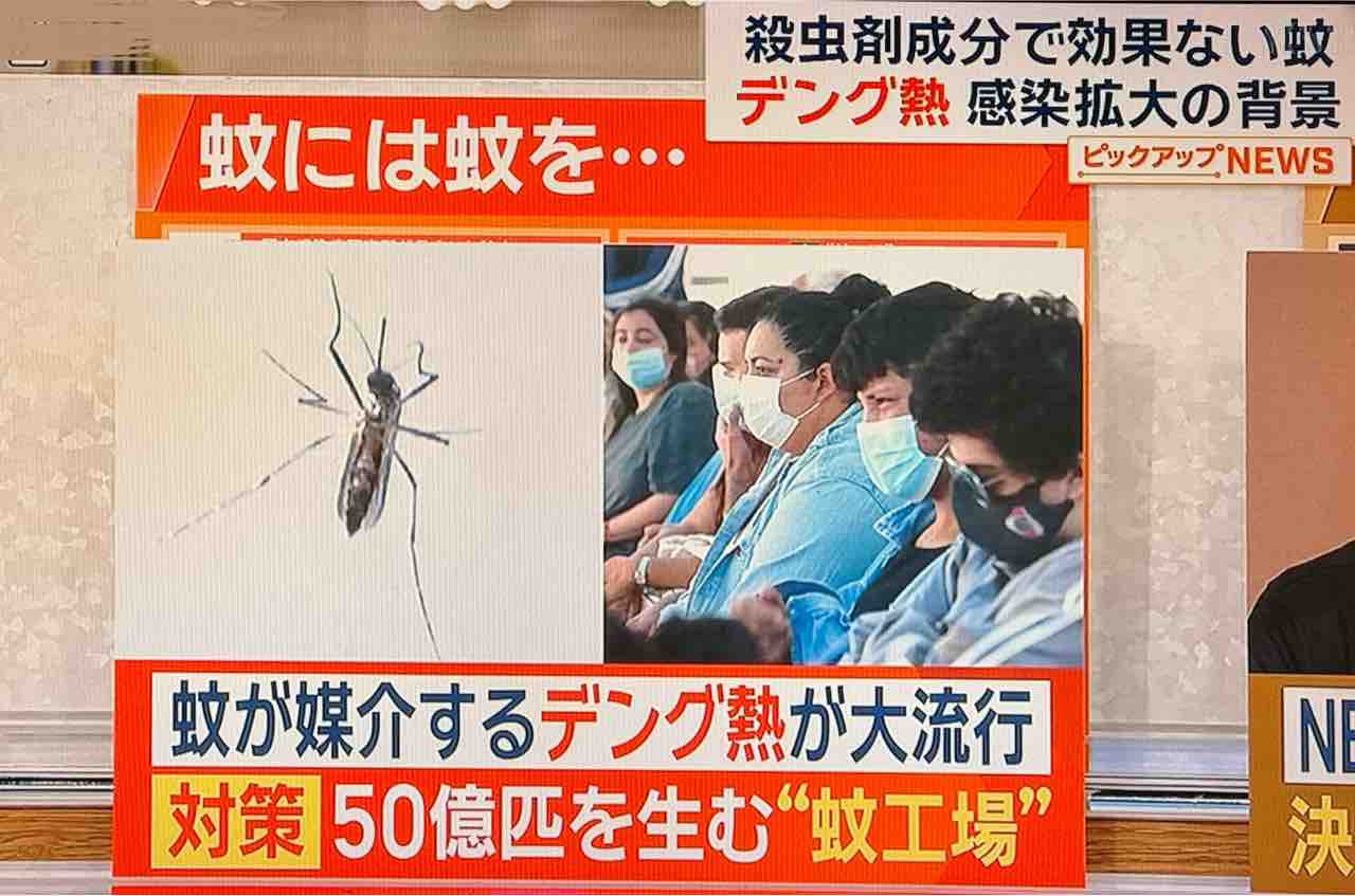 世界に目を向けグローバル GPS 京都を中心にグローカル 366 APS:蚊が媒介するデング熱、南米中心に感染者激増 昨年の年間症例数上回る(東南アジアも) /ブラジル(デング熱)「蚊には 蚊を!」