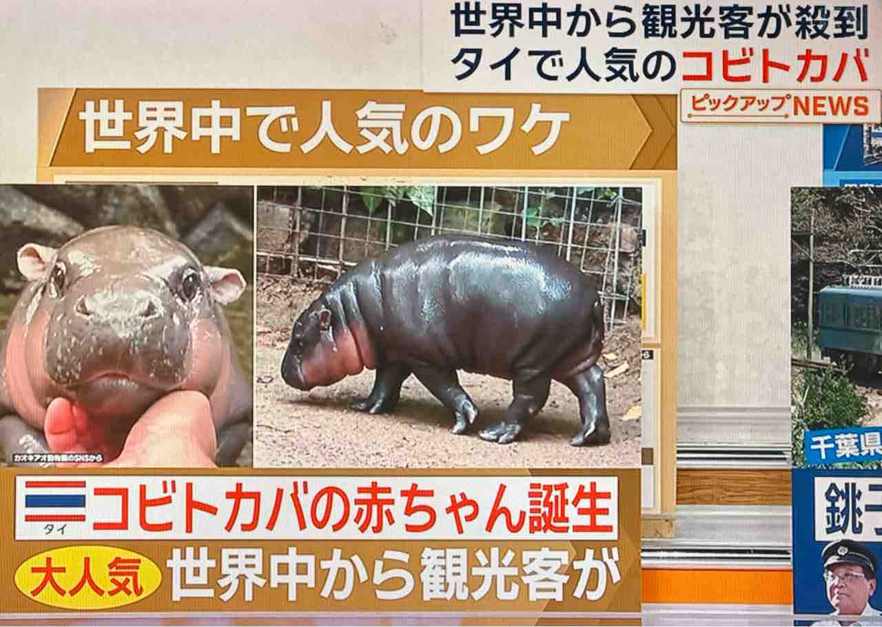 2024年09月15日 : アジア、東南アジア情勢 タイやラオスの研究など 366 GPS APS