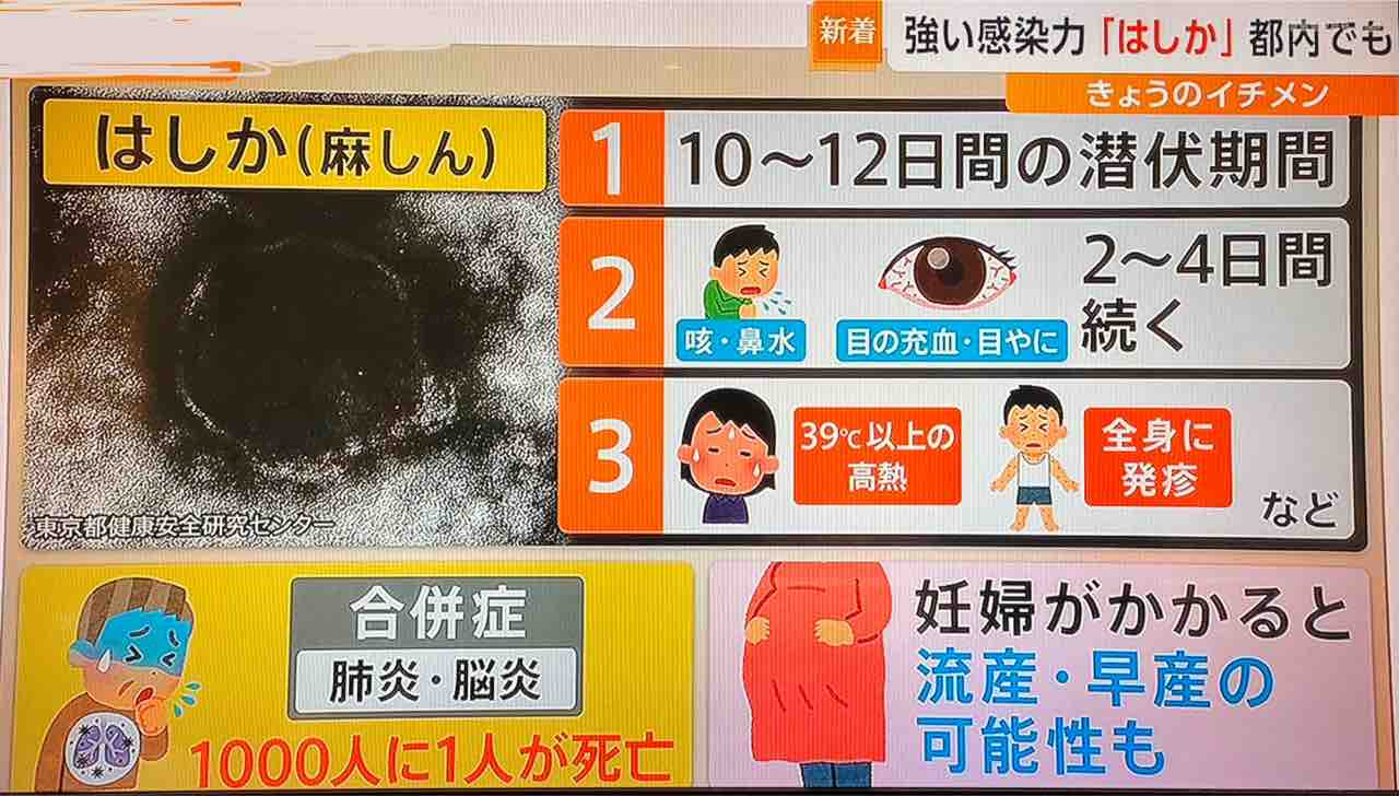 京都市 はしか感染確認 注意呼びかけ : つれづれなるままの散歩道 （関西の四季GPS 京都 岡山 中心 グローカル） 366 aps