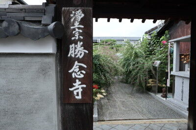 大盤振る舞い : 新マスターの独り言