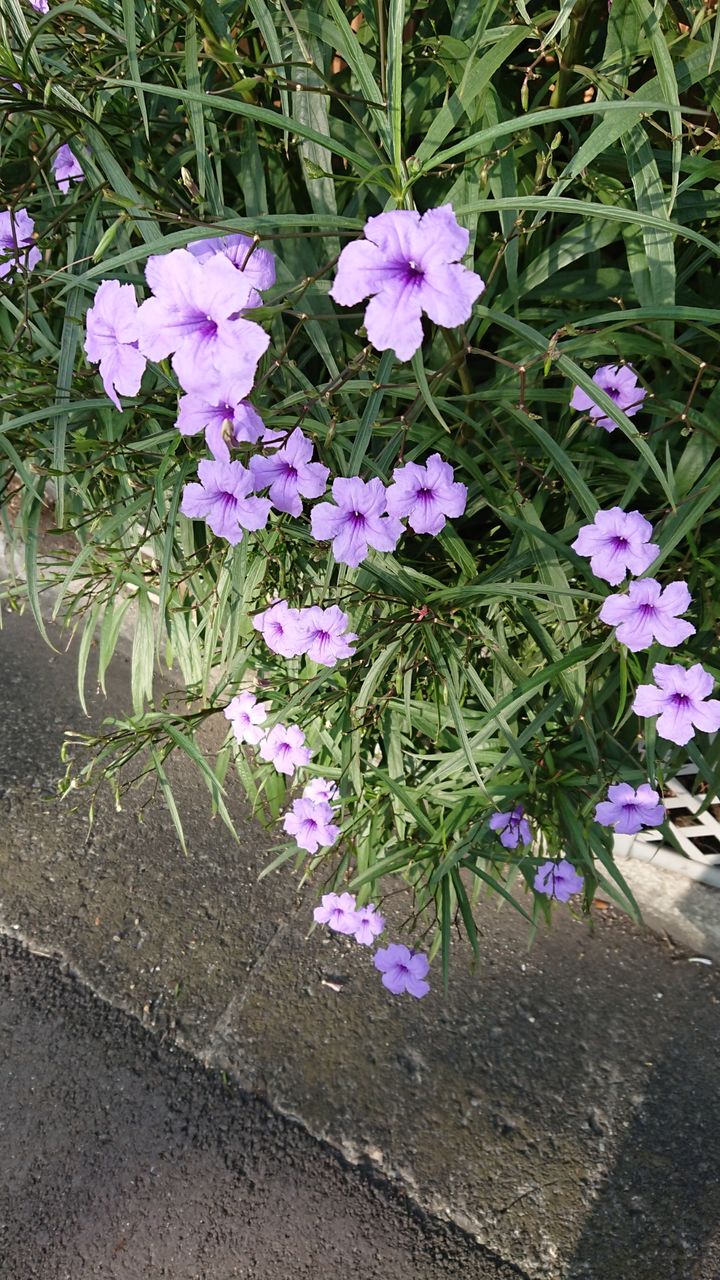 2018年09月 : 伝説の沙也加と一緒に♪