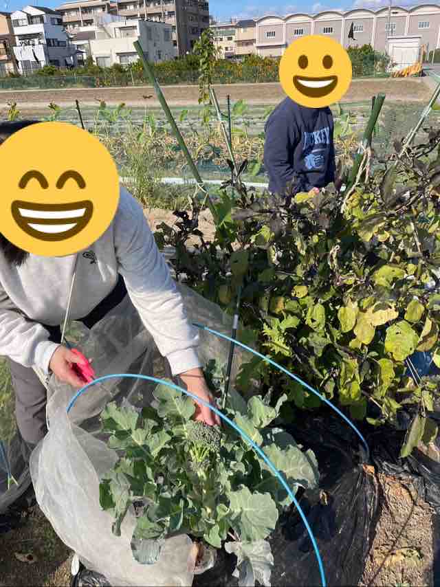 ラッポラの日記