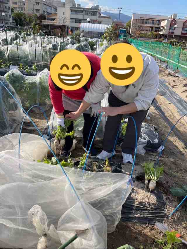 ラッポラの日記