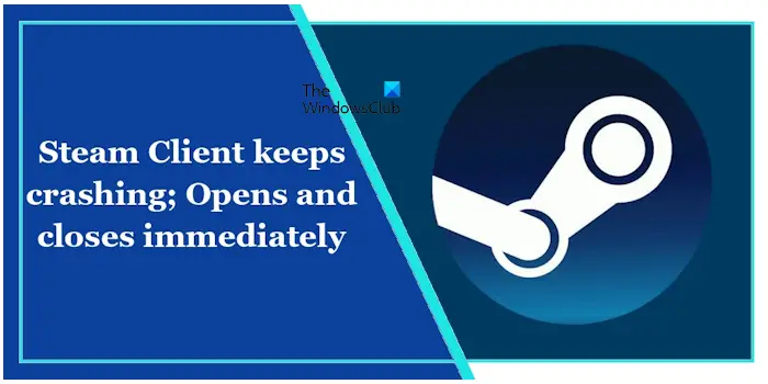 Steam クライアントがクラッシュし続ける。 すぐに開いたり閉じたりする : lasenorahenのblog