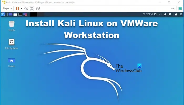 VMWare Workstation に Kali Linux をインストールする方法 : lasenorahenのblog