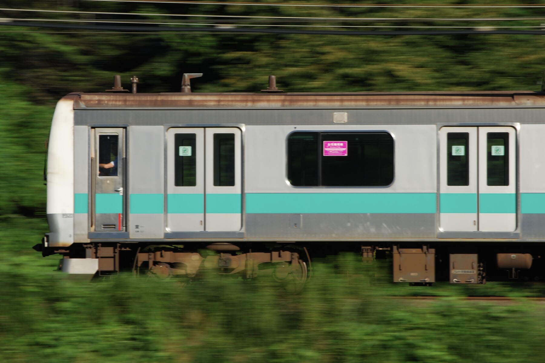 大自然を駆け抜けるE233系 : 今日も気ままに。