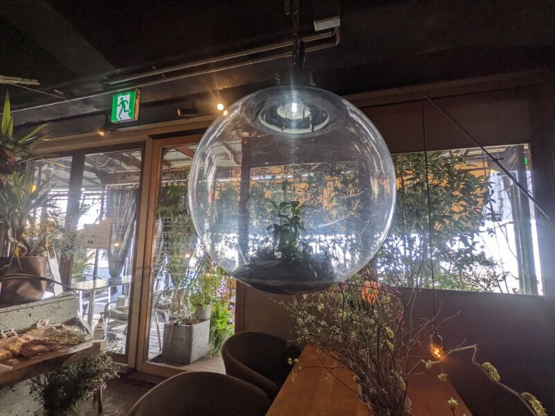 Good 2 Go! : 築地:植物で覆われたナイスなカフェ『kunisuke coffee & takoyaki』でエスプレッソをいただく♪