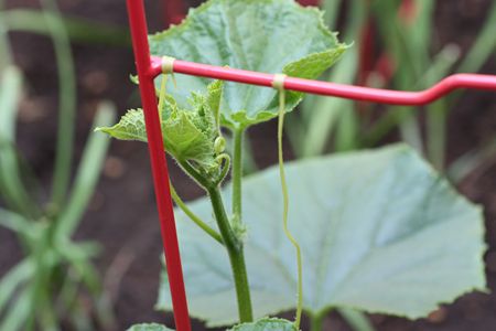 勝ちましたね！！ : LEOMARI.Lab.