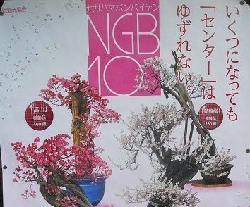 NGB10 : 吉野若旦那会のblog