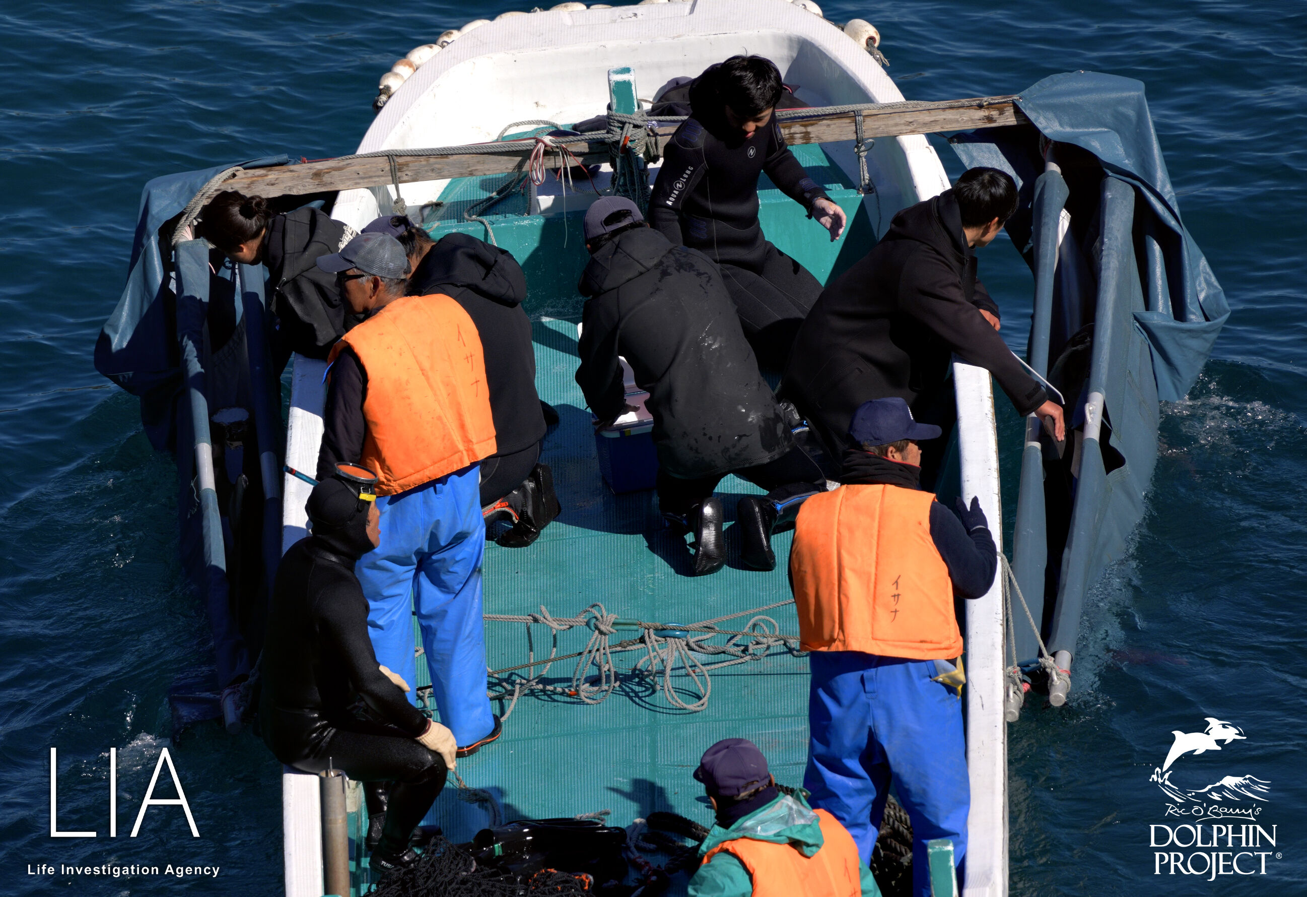 More Dolphins as Inventory! ～The reason dolphin drive hunt still ...