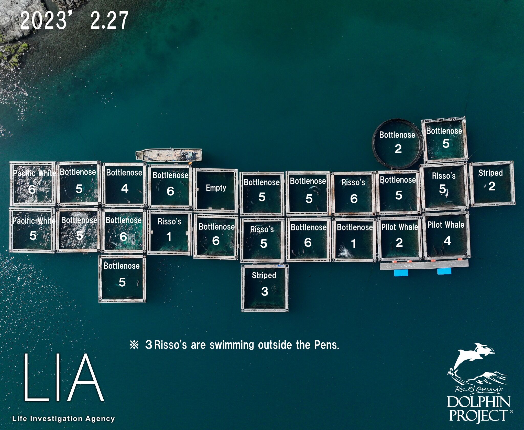 More Dolphins as Inventory! ～The reason dolphin drive hunt still ...