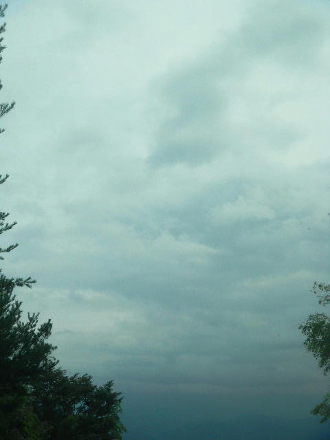 薄々気づいていたことを、アカデミックが裏付ける!？ : liddell coffee house リデルコーヒーハウス