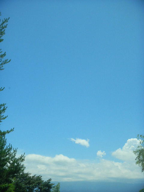 web OPAC : liddell coffee house リデルコーヒーハウス