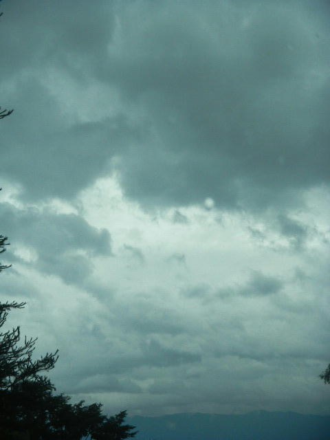 無駄が多い相談者、『しょせん他人事ですから』第9巻。 : liddell coffee house リデルコーヒーハウス