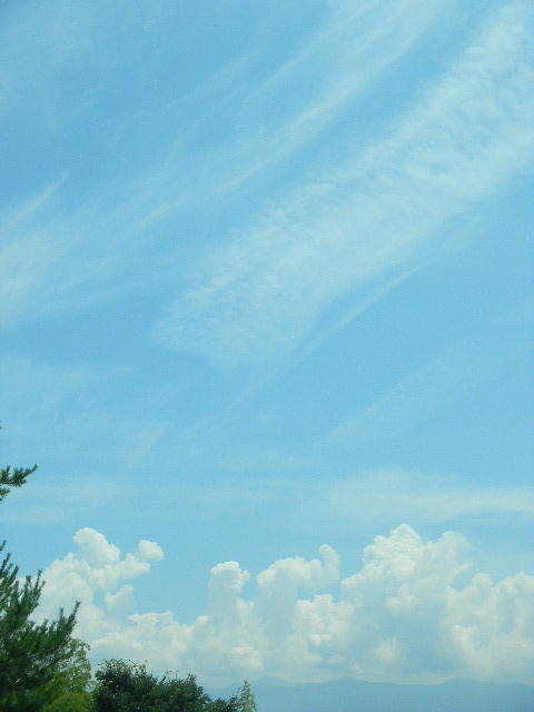 編集長死去につき・・・・。 : liddell coffee house リデルコーヒーハウス