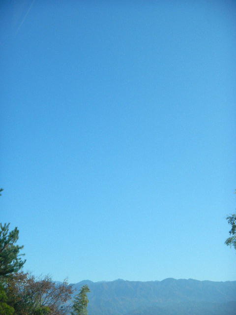 「ハンズ」へ。 : liddell coffee house リデルコーヒーハウス