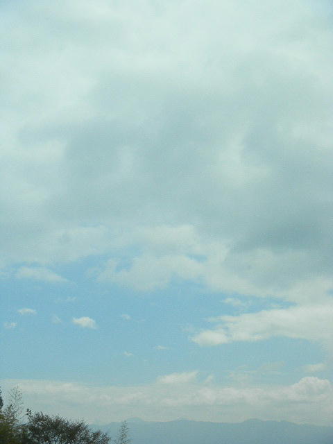 「RRR」を観てきました。 : liddell coffee house リデルコーヒーハウス