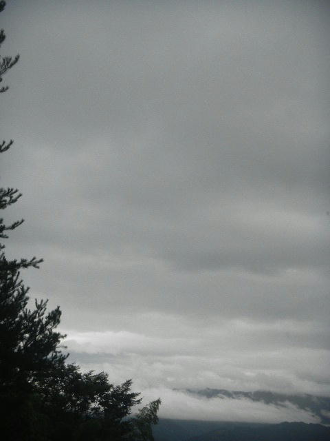 【金】の川下ではなく、最上流の最前線。 : liddell coffee house リデルコーヒーハウス