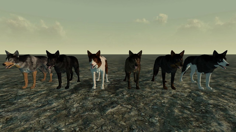 K9 Breeds : FPSとTPSと時々RPG