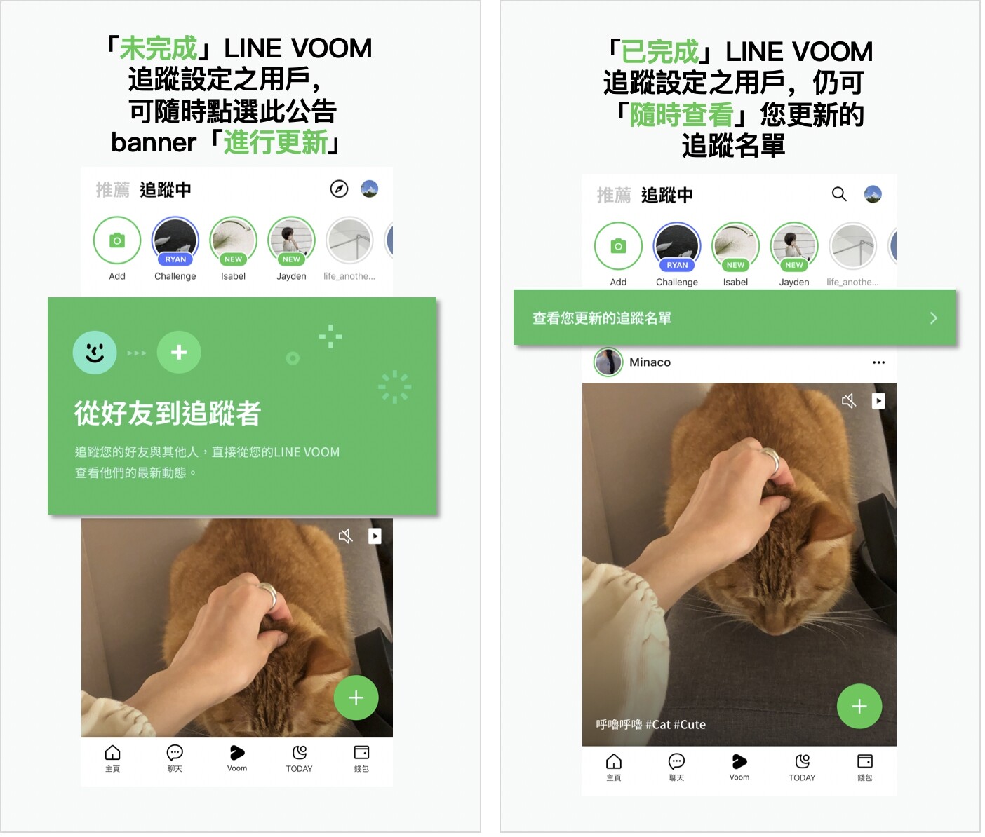 搶先看! LINE VOOM 全新追蹤機制! 從好友到追蹤 盡情探索影音創作 : LINE台灣 官方BLOG
