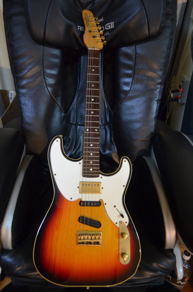 ギターについて真面目に考えるBrog :Robin Guitars /Ranger Custom