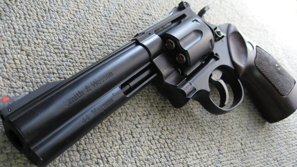 Livinggoods:S&W M29