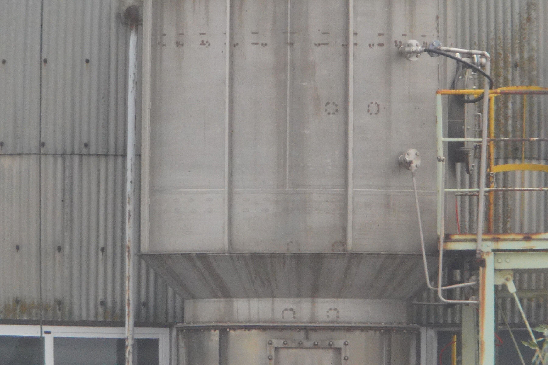 趣味の「写真、DIY、オーディオ」日記 : 「 BORG 77EDⅡ ＋ テレビュー パワーメイト ＋ α 7 Ⅲ 」 で野鳥を撮影