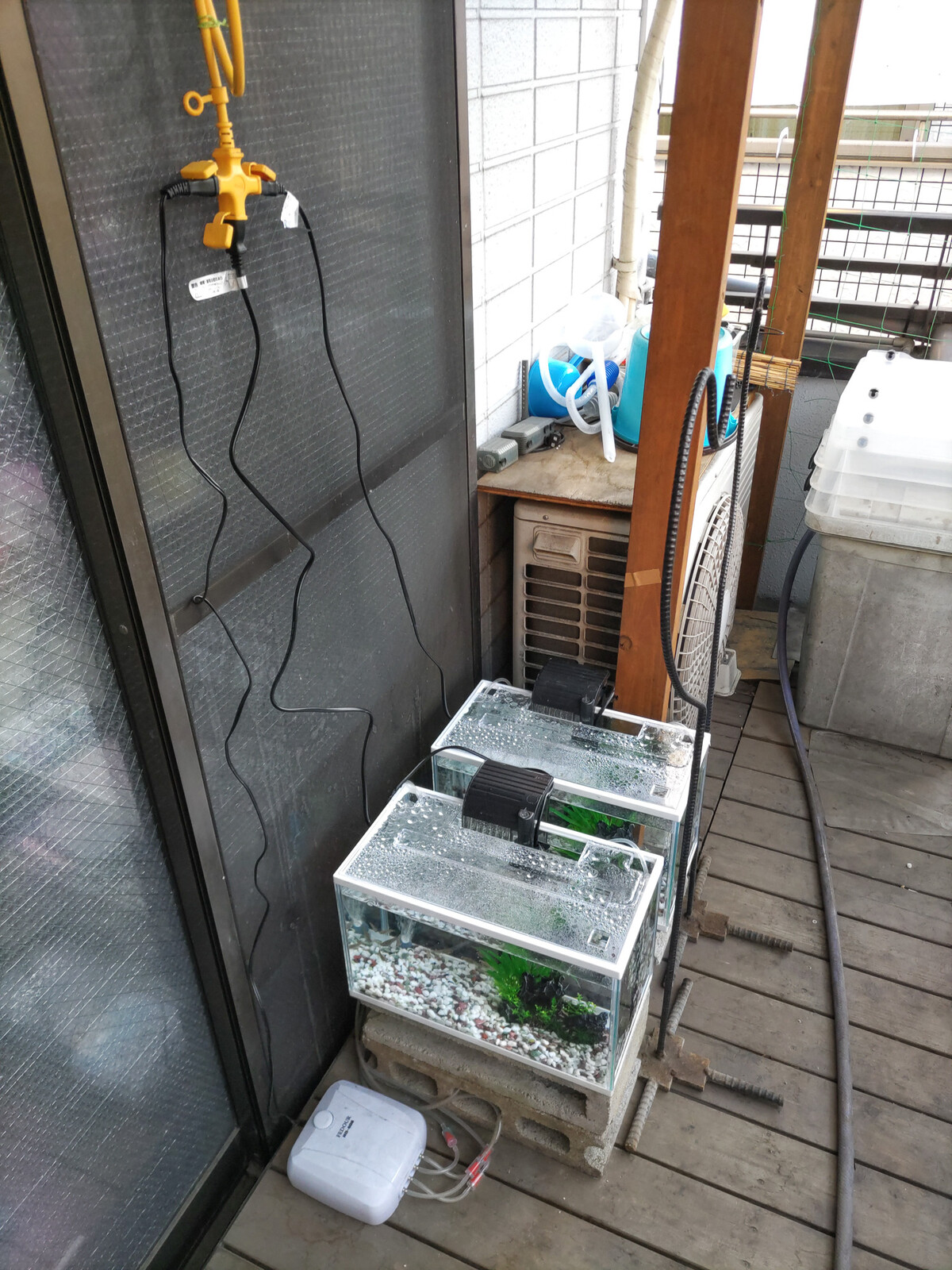 趣味の「写真、DIY、オーディオ」日記 : 2024年12月