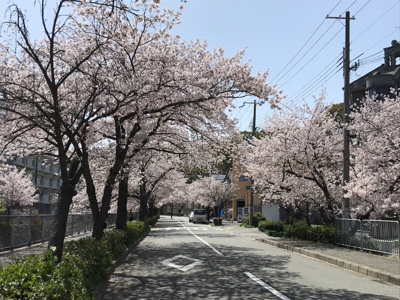 試乗レビュー】Khodaa Bloom FARNA PRO AERO DISK 9100 : 電子 試乗レビュー】Khodaa Bloom FARNA PRO AERO DISK 9100 : 電子