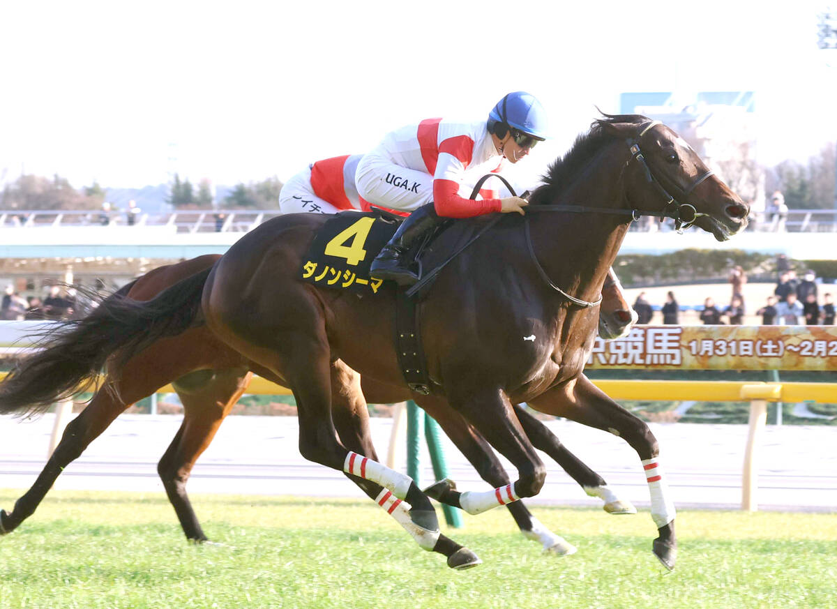 【白富士S】ダノンシーマ強すぎワロタ ｜ ☆うまなみ・競馬にゅーす速報