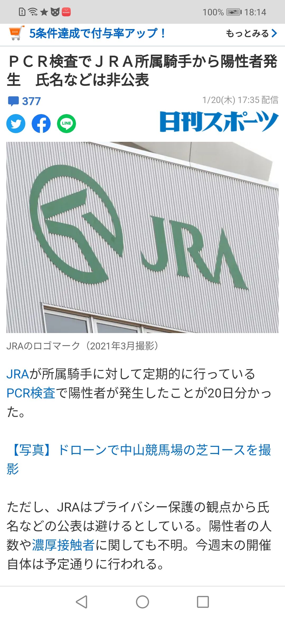 【JRA】菅原明良”病気“のため19鞍乗り替わり AJCCは北村宏が騎乗 ｜ ☆うまなみ・競馬にゅーす速報