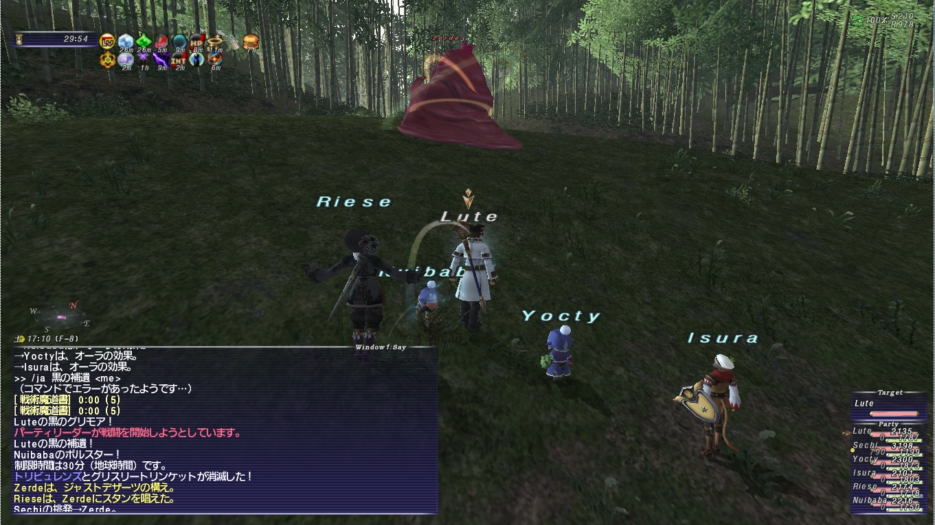 【FF11】中身二人でZerdeに挑戦【精霊】 : FF11赤ソロ小冊子