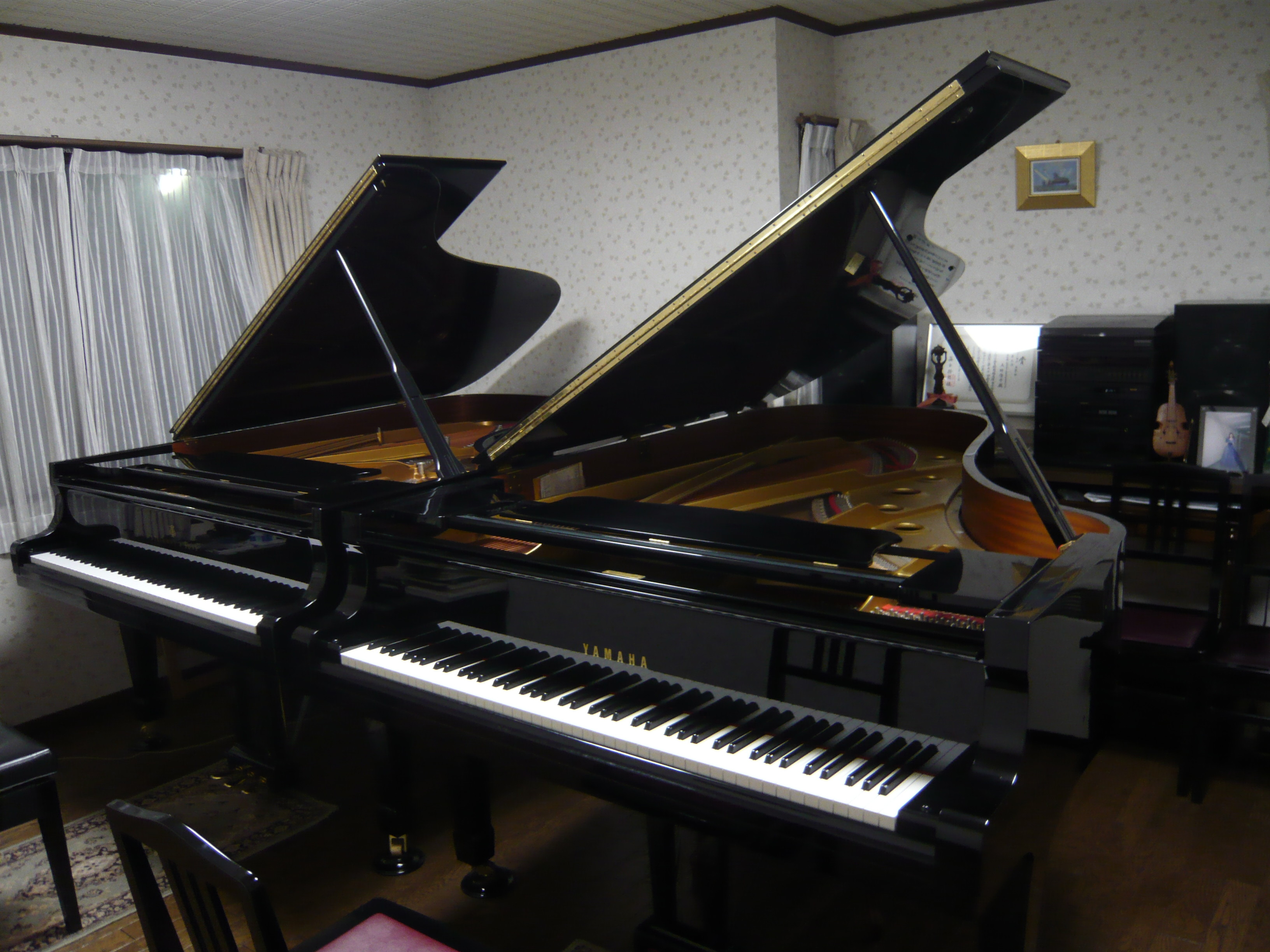 Blog | Yuko Ueno Official Web Site