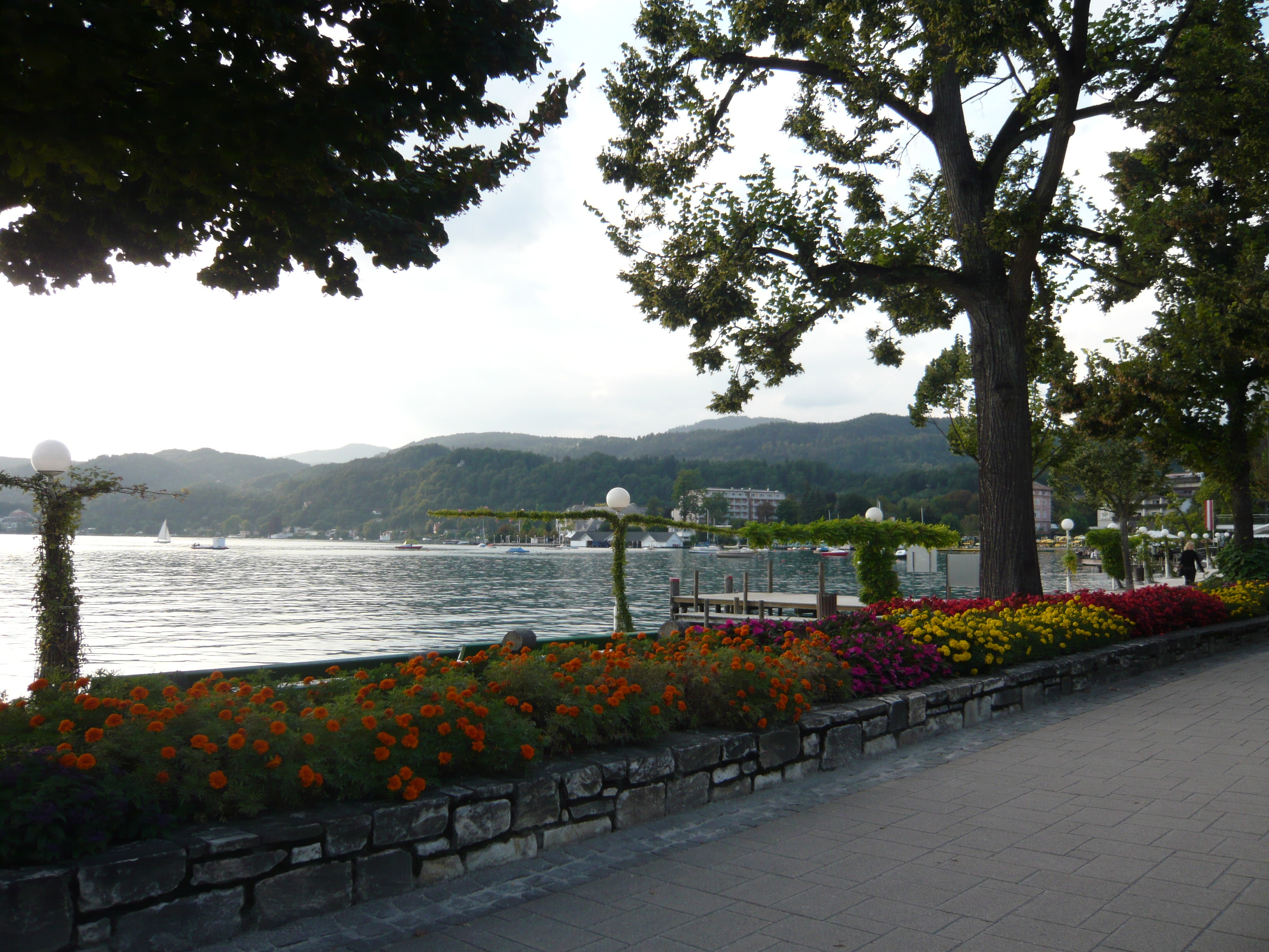 Blog | Yuko Ueno Official Web Site