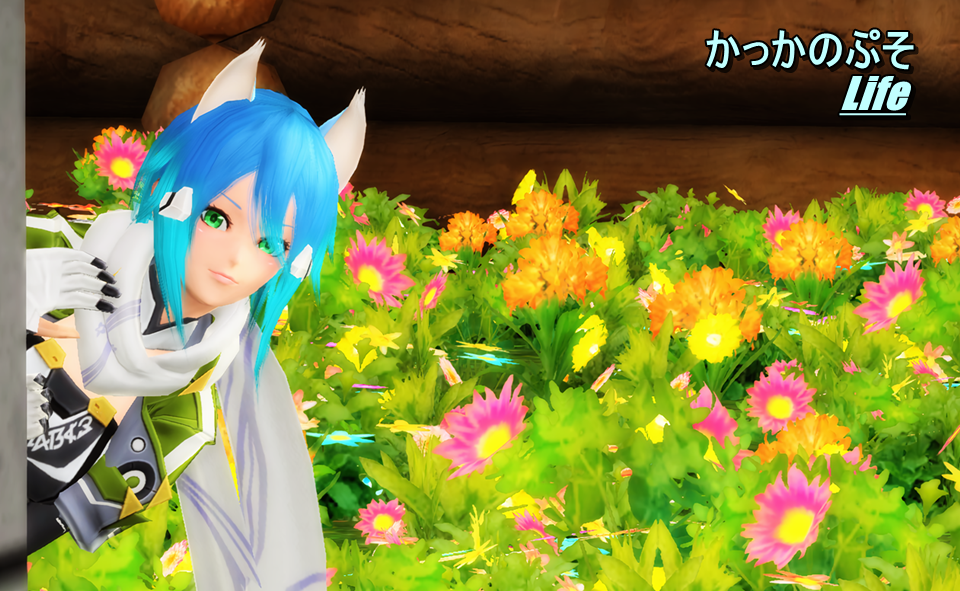 PSO2:NGSを超高画質(4K&8K)でプレイする方法 : かっかのぷそLife