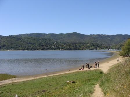 窓＠Berkeley:週末旅行：牡蠣BBQ in Alan Sieroty Beach@Tomales Bay - livedoor Blog ...