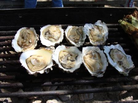 窓＠Berkeley:週末旅行：牡蠣BBQ in Alan Sieroty Beach@Tomales Bay - livedoor Blog ...