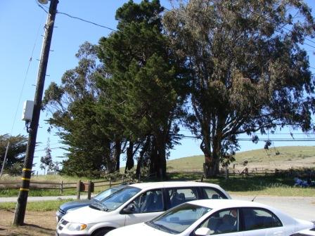 窓＠Berkeley:週末旅行：牡蠣BBQ in Alan Sieroty Beach@Tomales Bay - livedoor Blog ...