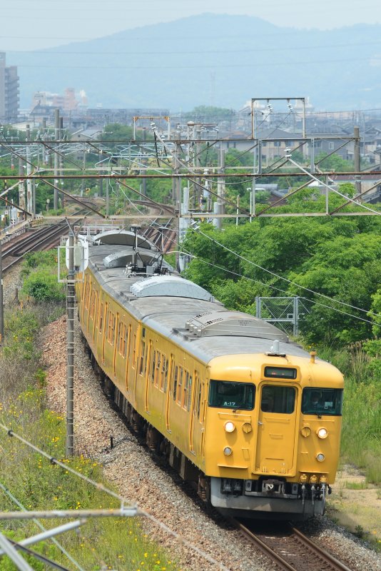 週末の撮影③ : √Route1005