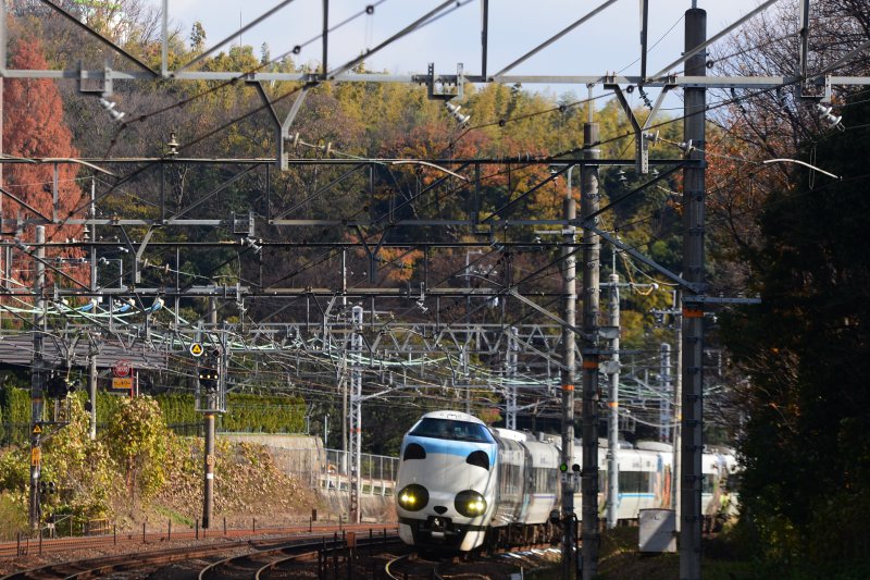 パンダExpress : √Route1005